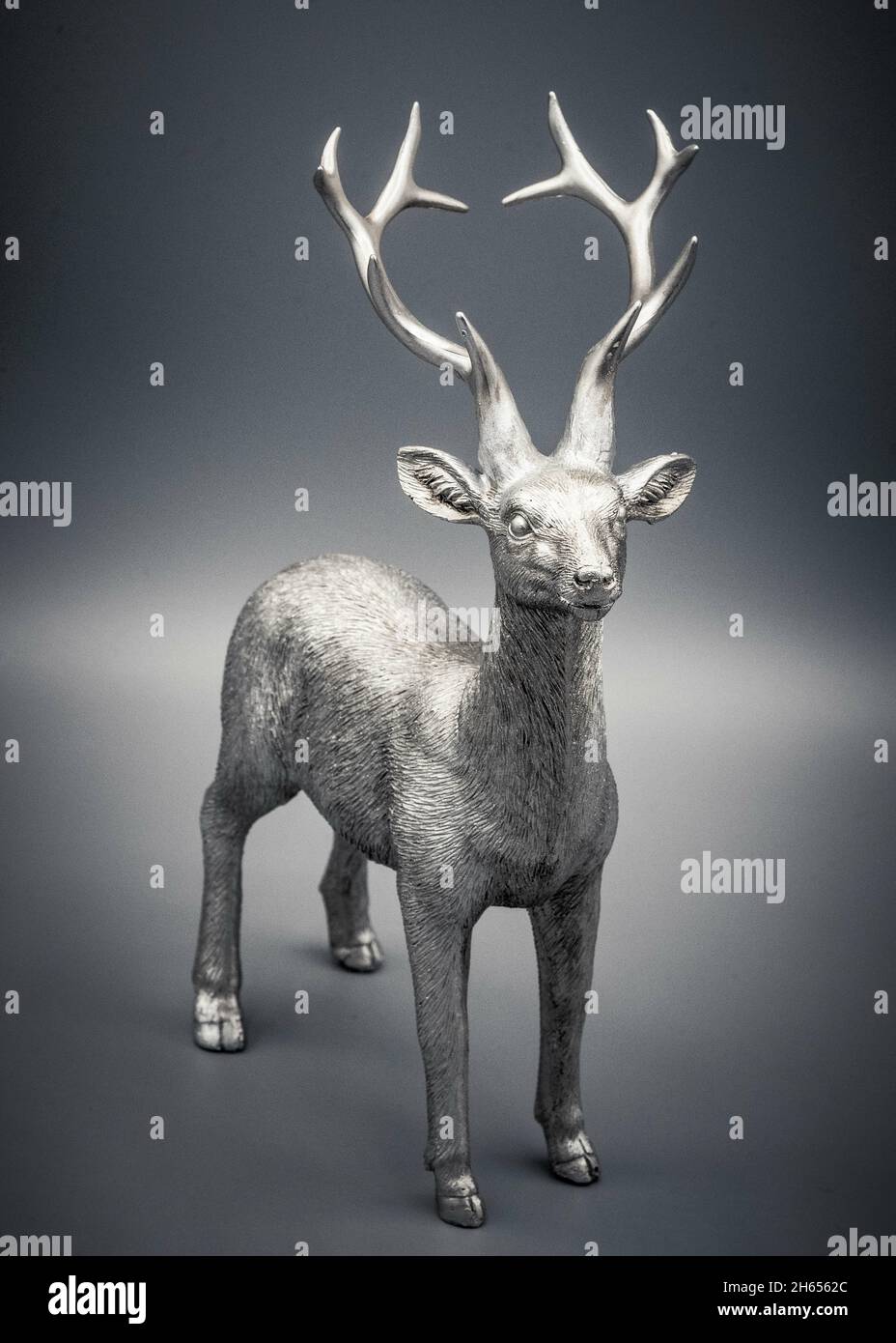 Silver buck hi-res stock photography and images - Alamy