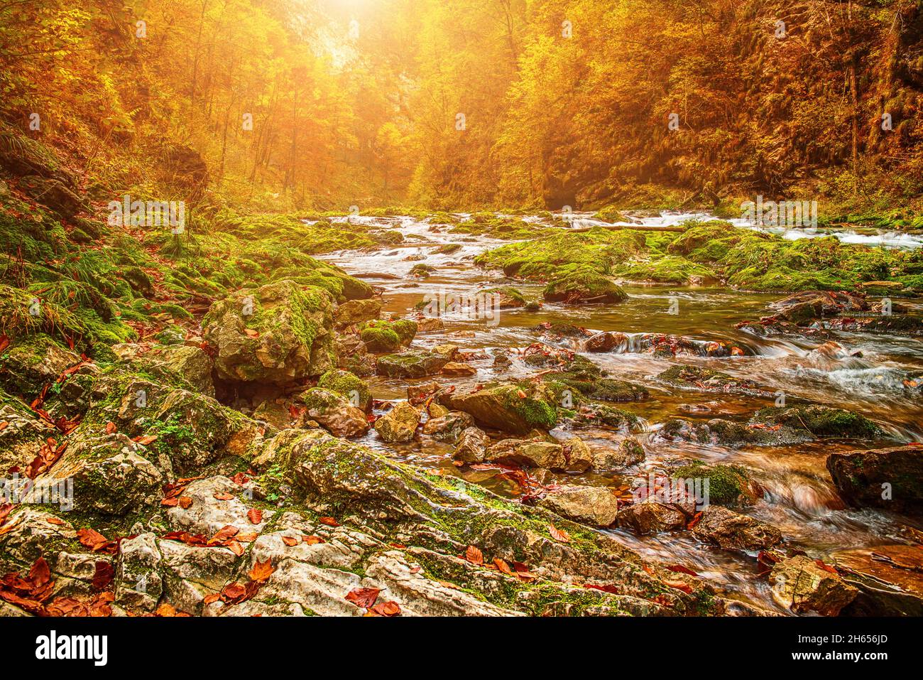 Vintgar gorge, Slovenia Stock Photo - Alamy