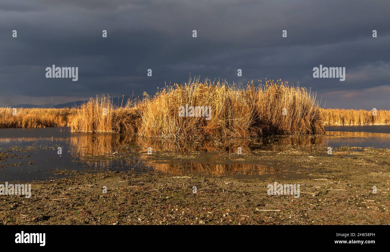 Eber Lake, one of the last ice age lakes of tectonic origin, in Eber ...