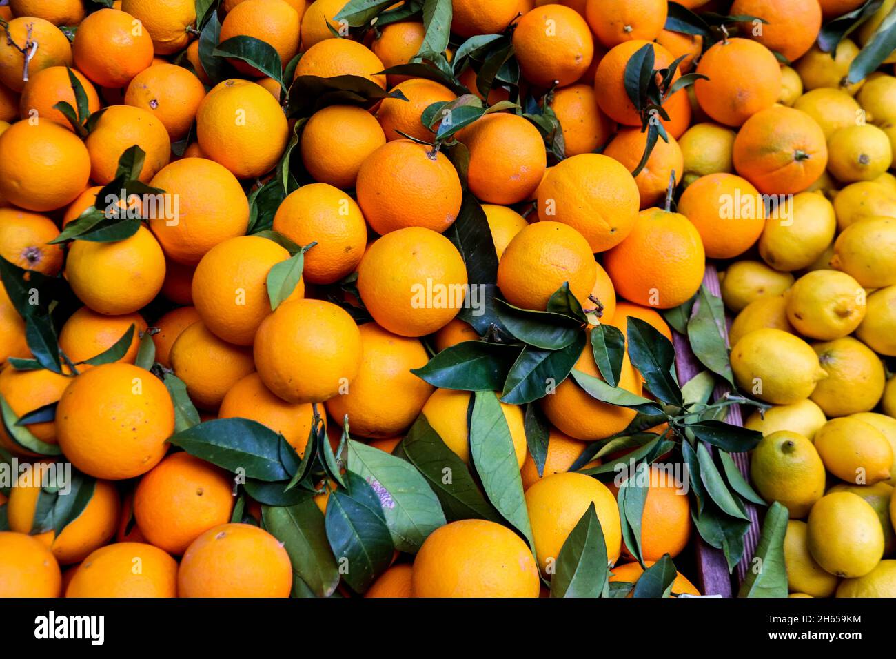 Exarchia market athens greece hi-res stock photography and images - Alamy