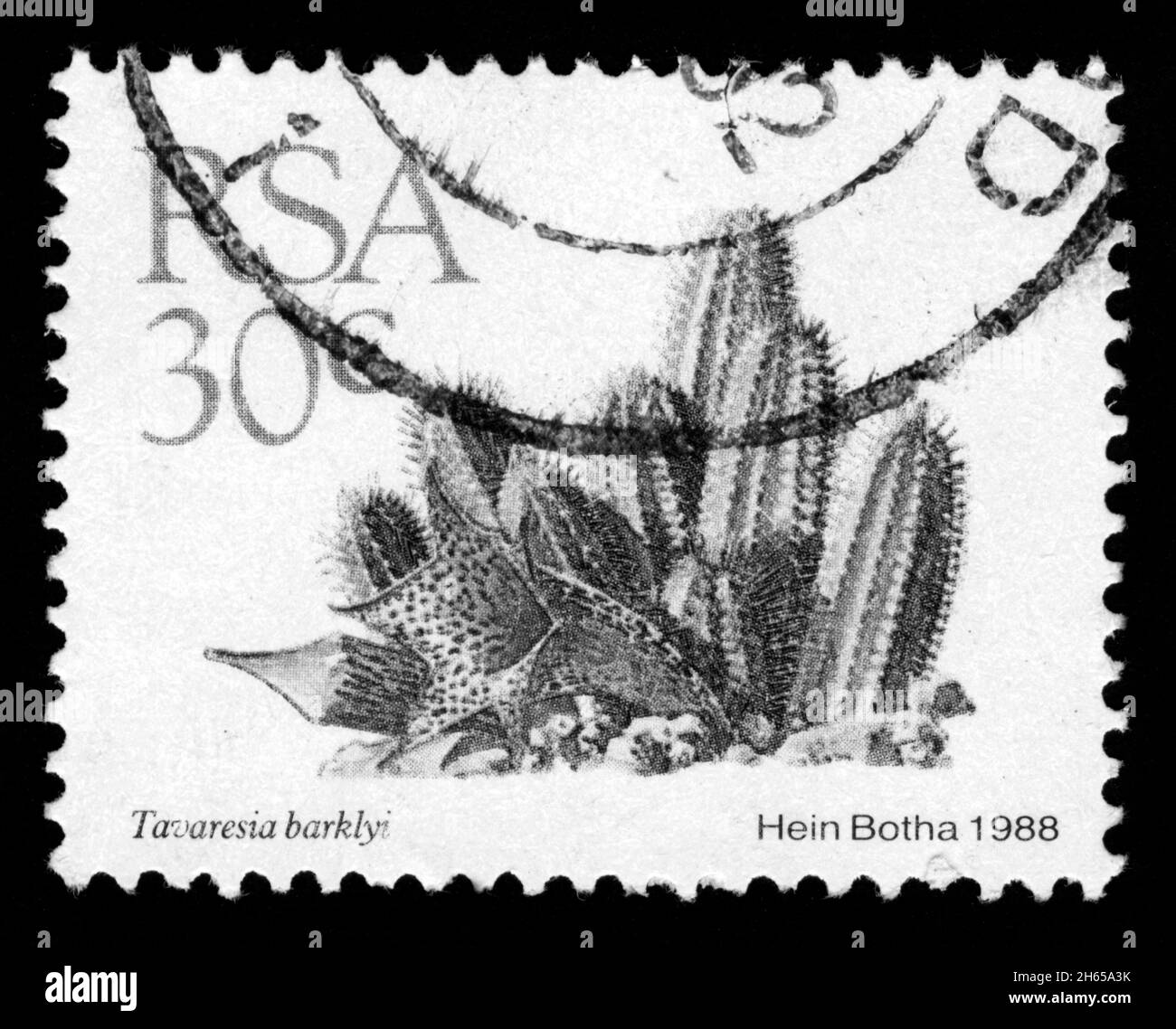 Rsa postage stamp hi-res stock photography and images - Alamy