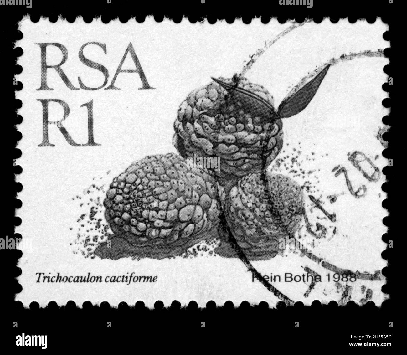 Rsa Postage Stamp High Resolution Stock Photography and Images - Alamy
