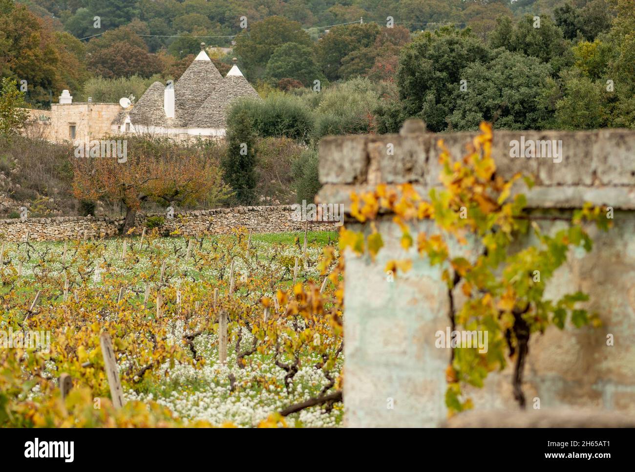 Puglia landscape hi-res stock photography and images - Alamy