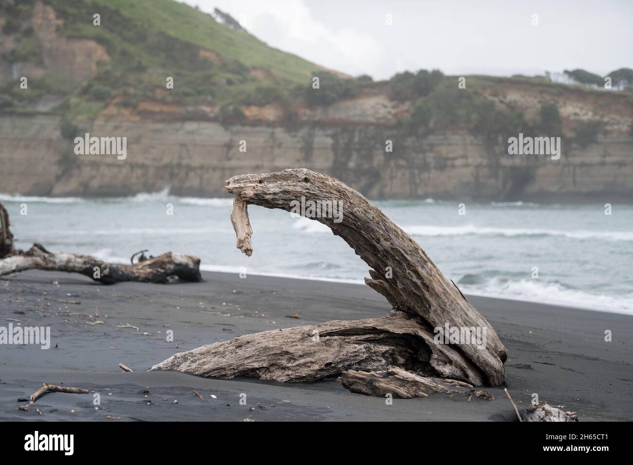 Magnetic black sand on the beach, New Zealand Stock Photo - Alamy