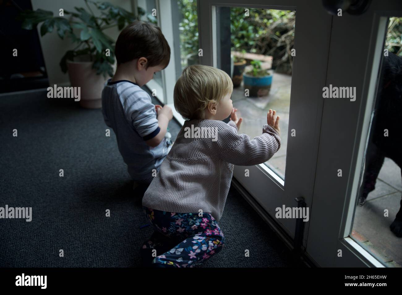 Beautiful toddler sibling children playing having fun near a window ...