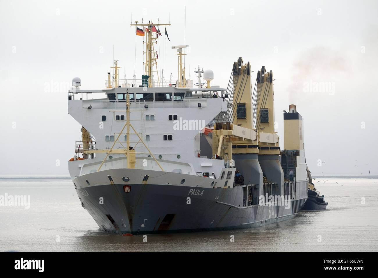 Emden, Germany. 13th Nov, 2021. The MS Paula is sailing on the river ...