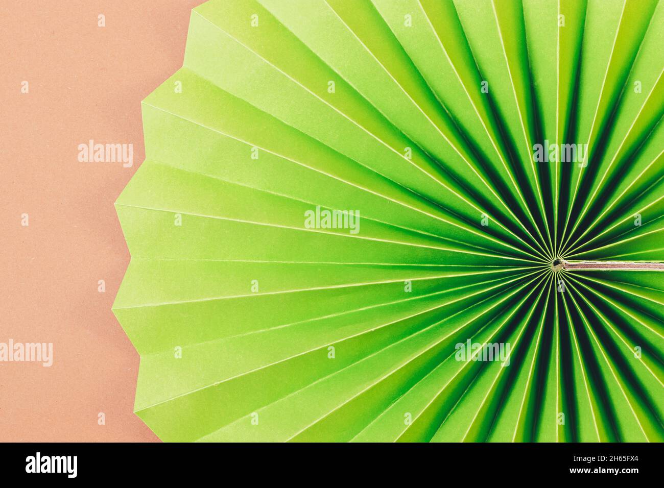 Textured green paper fan decoration on brown background Stock Photo - Alamy