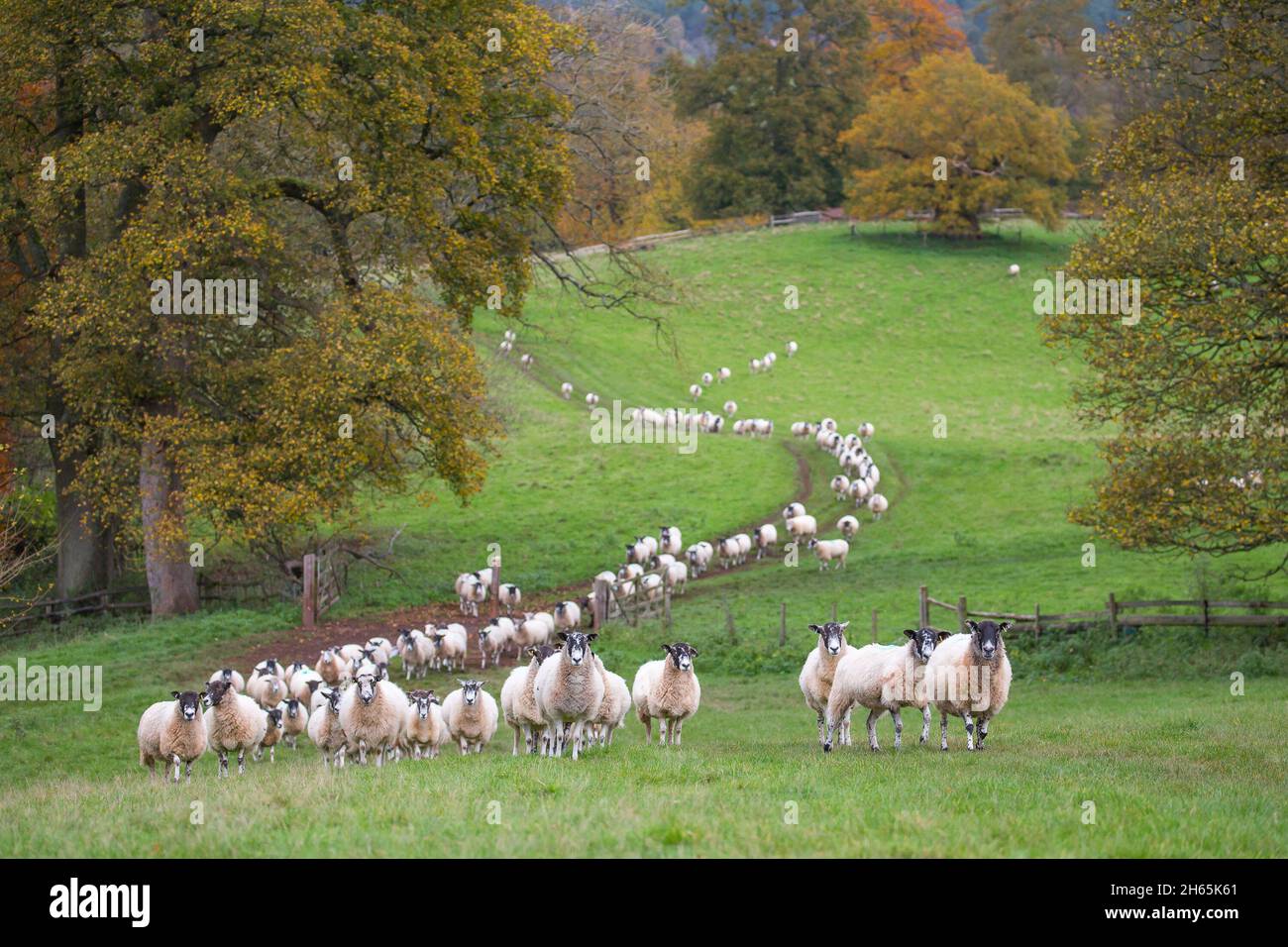 Mild temperatures hi-res stock photography and images - Alamy
