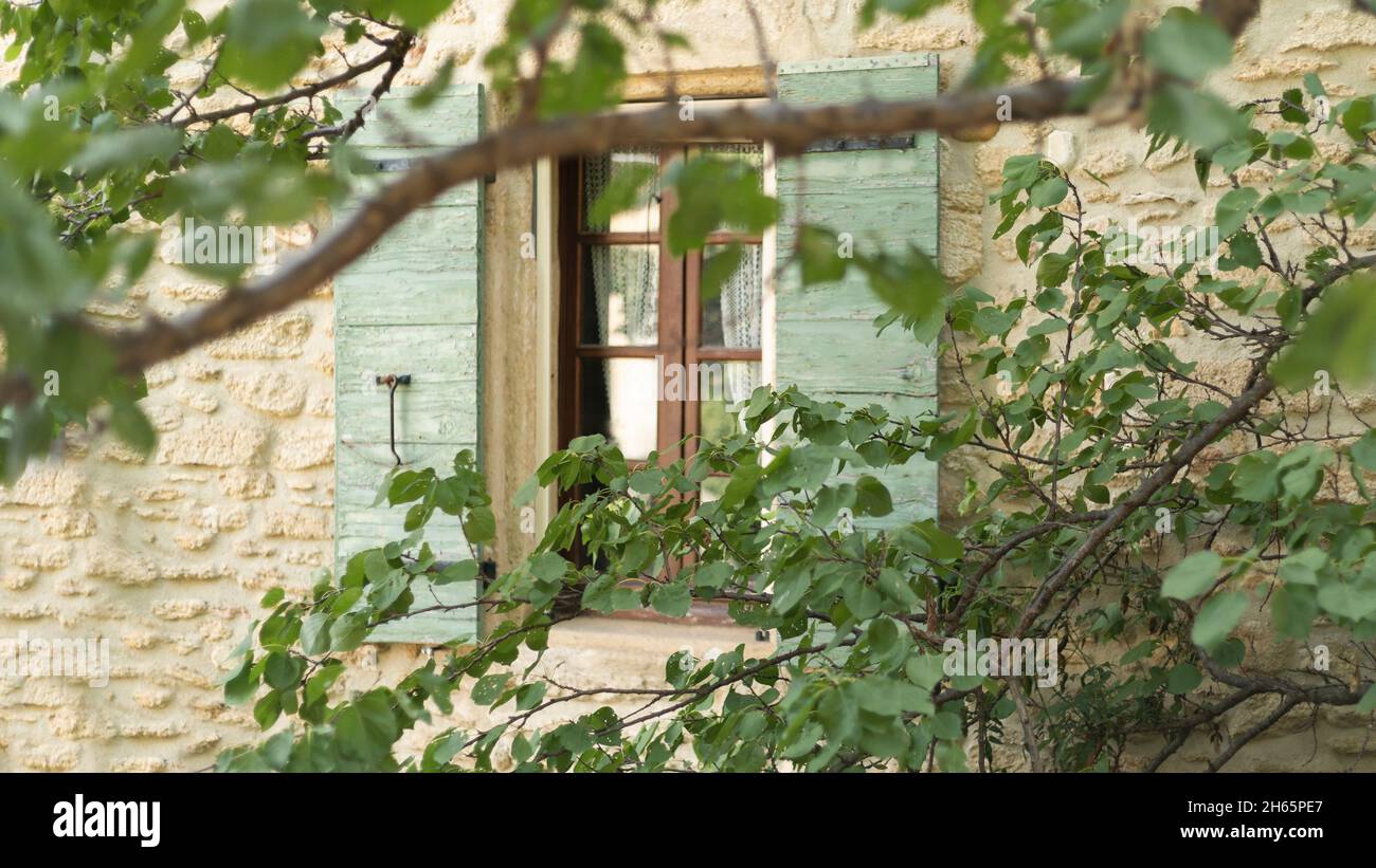 Looking through a tree at a window with green shutters Stock Photo - Alamy