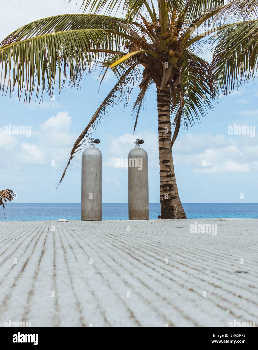 Two scuba diving tanks on road by palm tree and ocean Stock Photo - Alamy