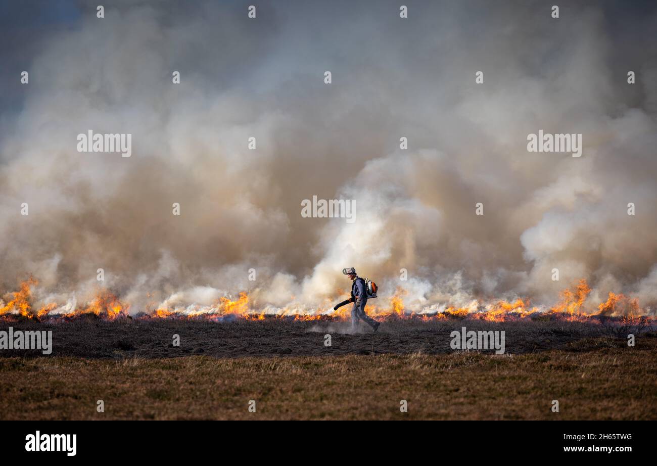 08/10/21 North York Moors - Heather burning in various locations in the ...