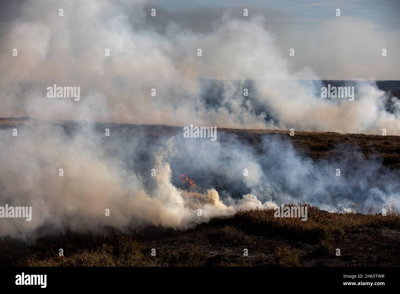 Moor burning in england hi-res stock photography and images - Alamy