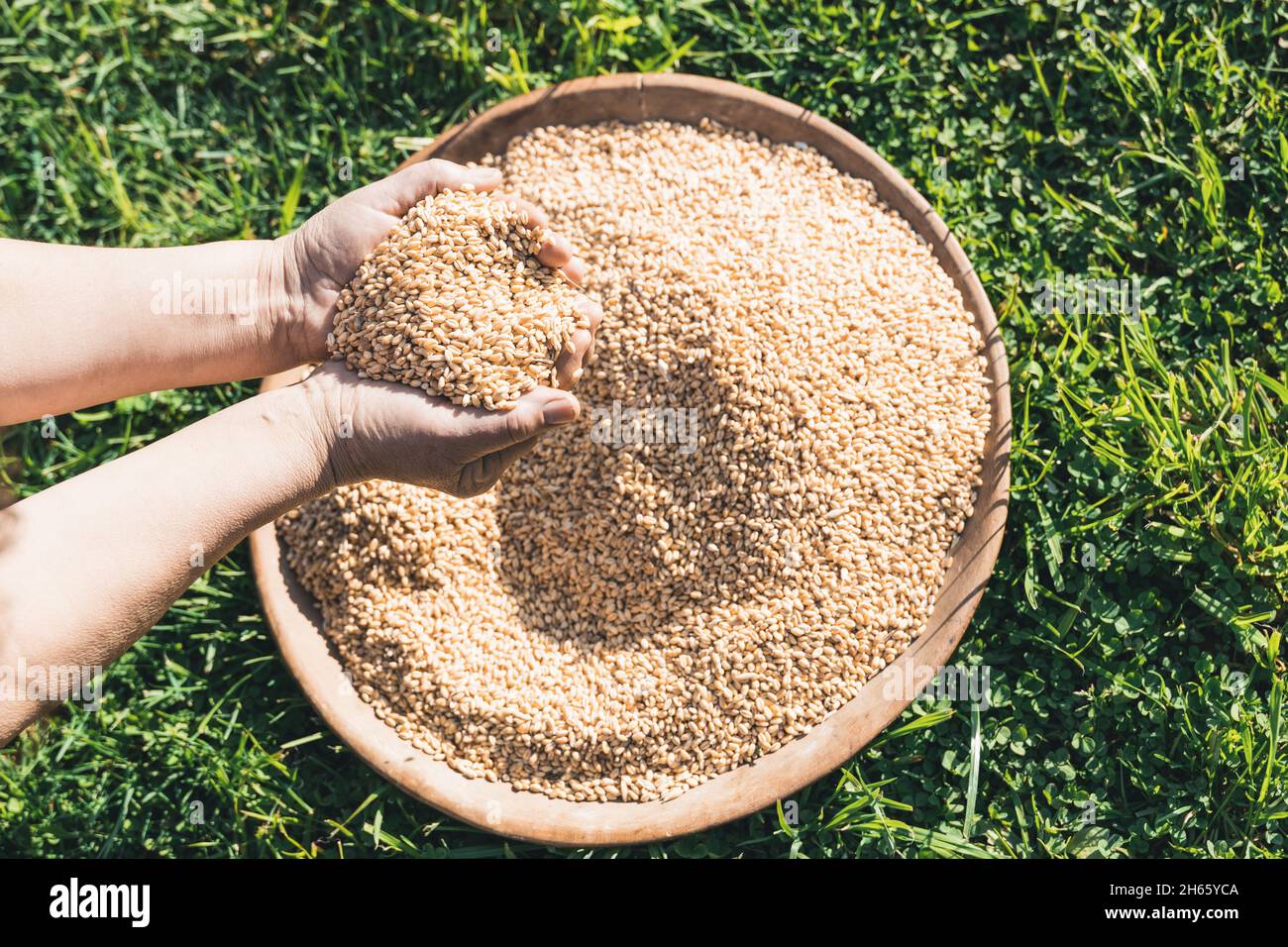 Latin berry hi-res stock photography and images - Alamy