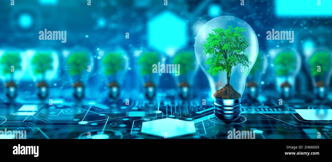 Tree growing on lightbulb with digital convergence and blue network ...