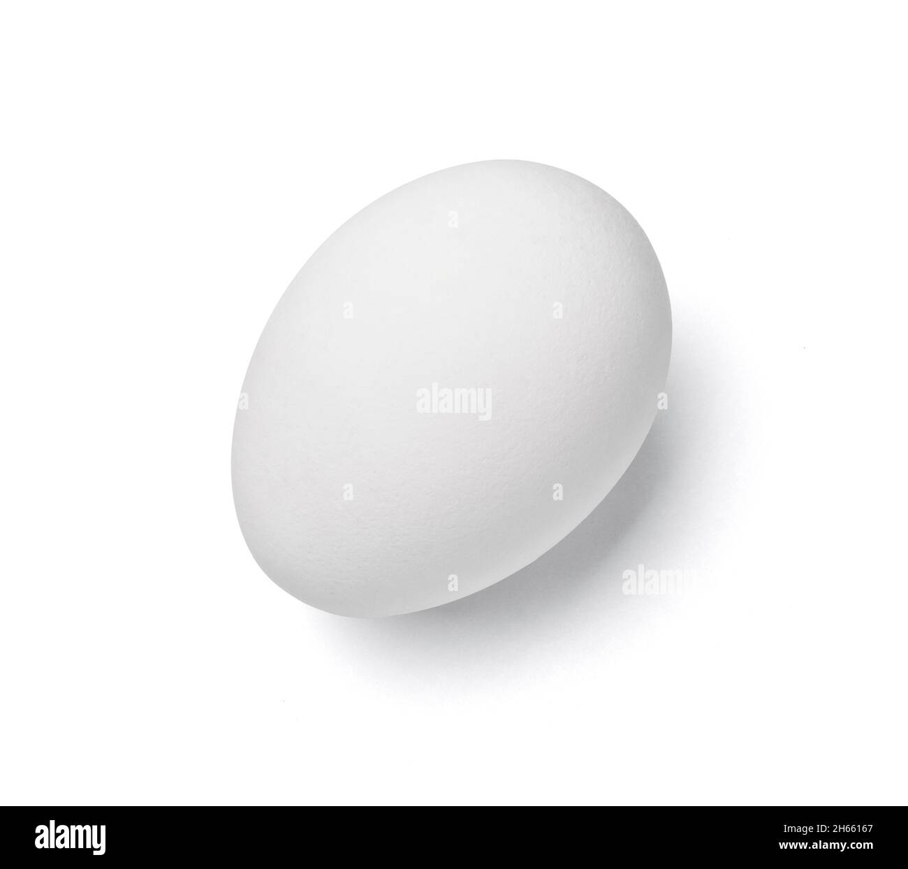 egg food white breakfast ingredient background protein isolated chicken ...