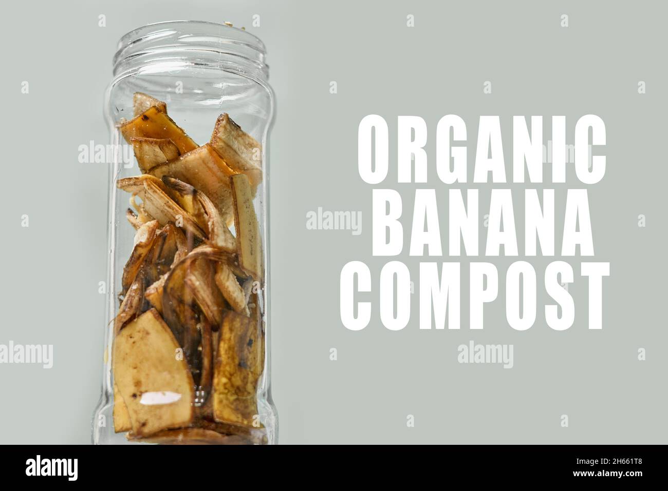 A jar filled with banana peel cuts and water. Banana peel for plant ...