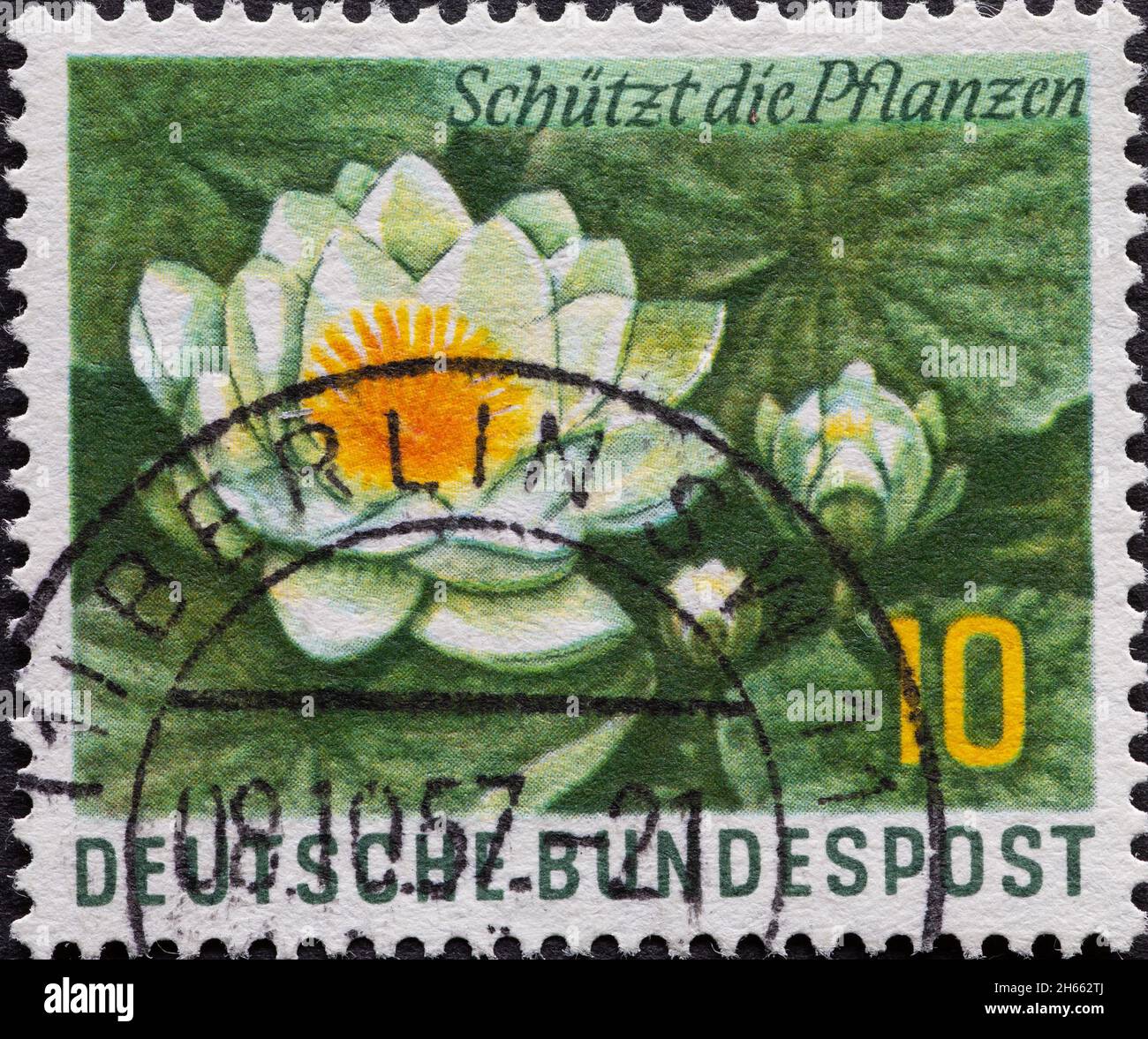 GERMANY - CIRCA 1957: This postage stamp shows a blossomed water lily ...