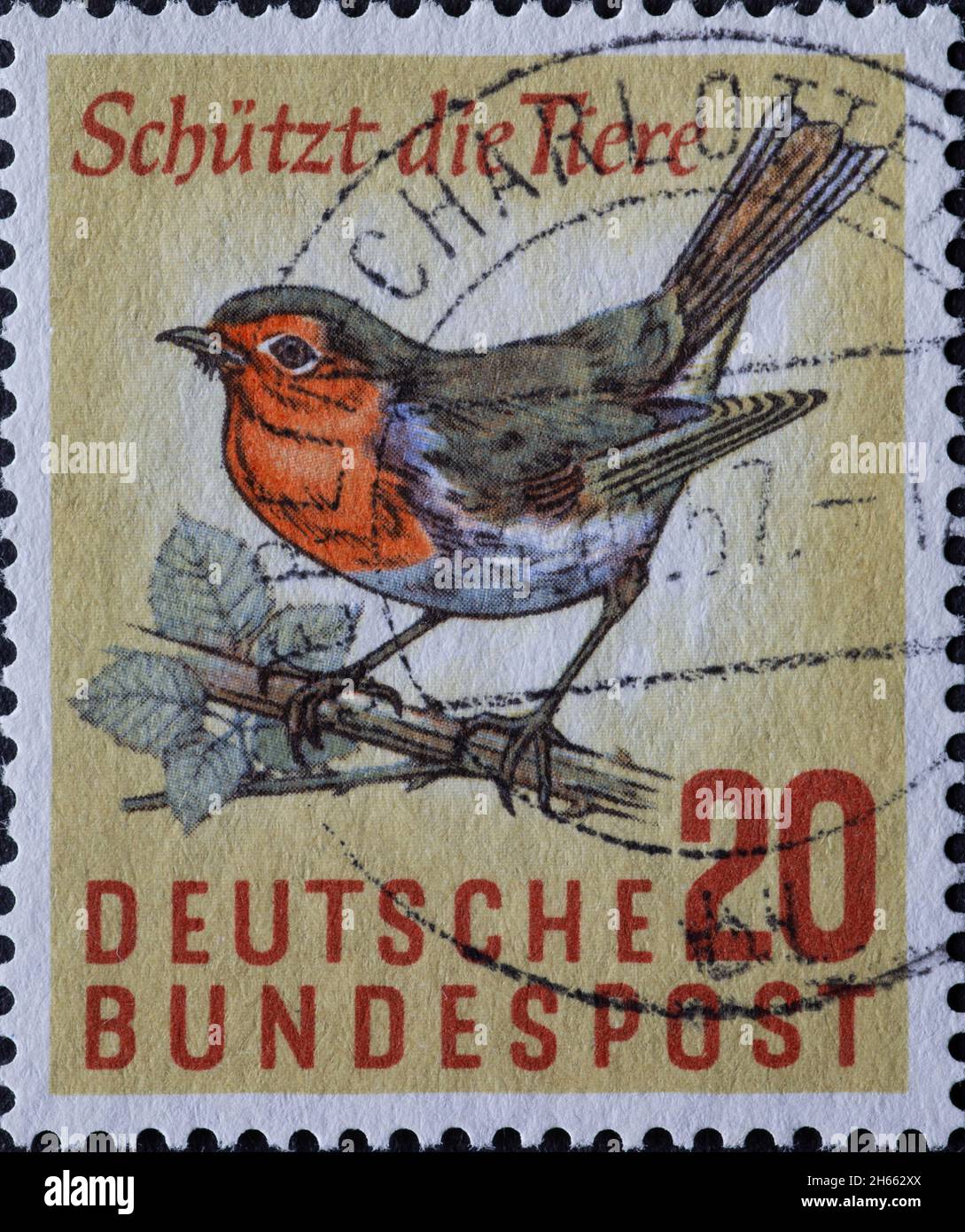 GERMANY - CIRCA 1957: This postage stamp shows a robin sitting on a ...