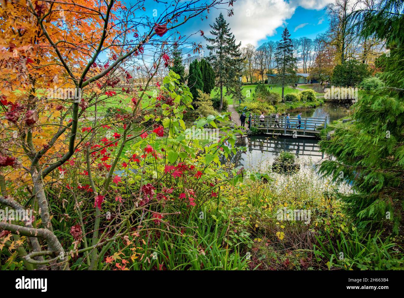 Park preston autumn avenham hi-res stock photography and images - Alamy