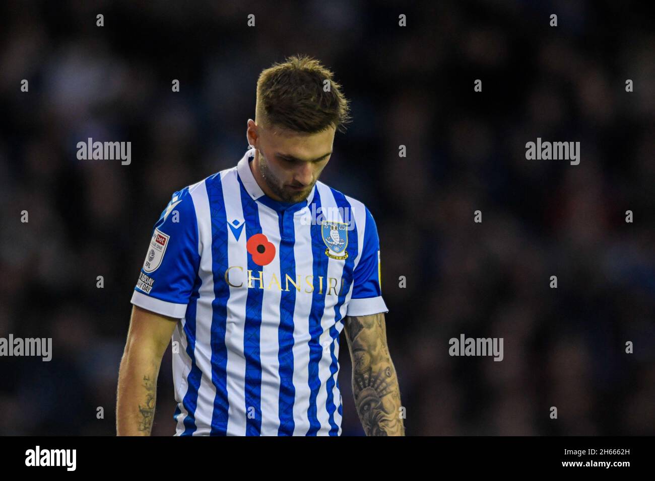 Lewis Wing #26 of Sheffield Wednesday looks down at the ground Stock ...