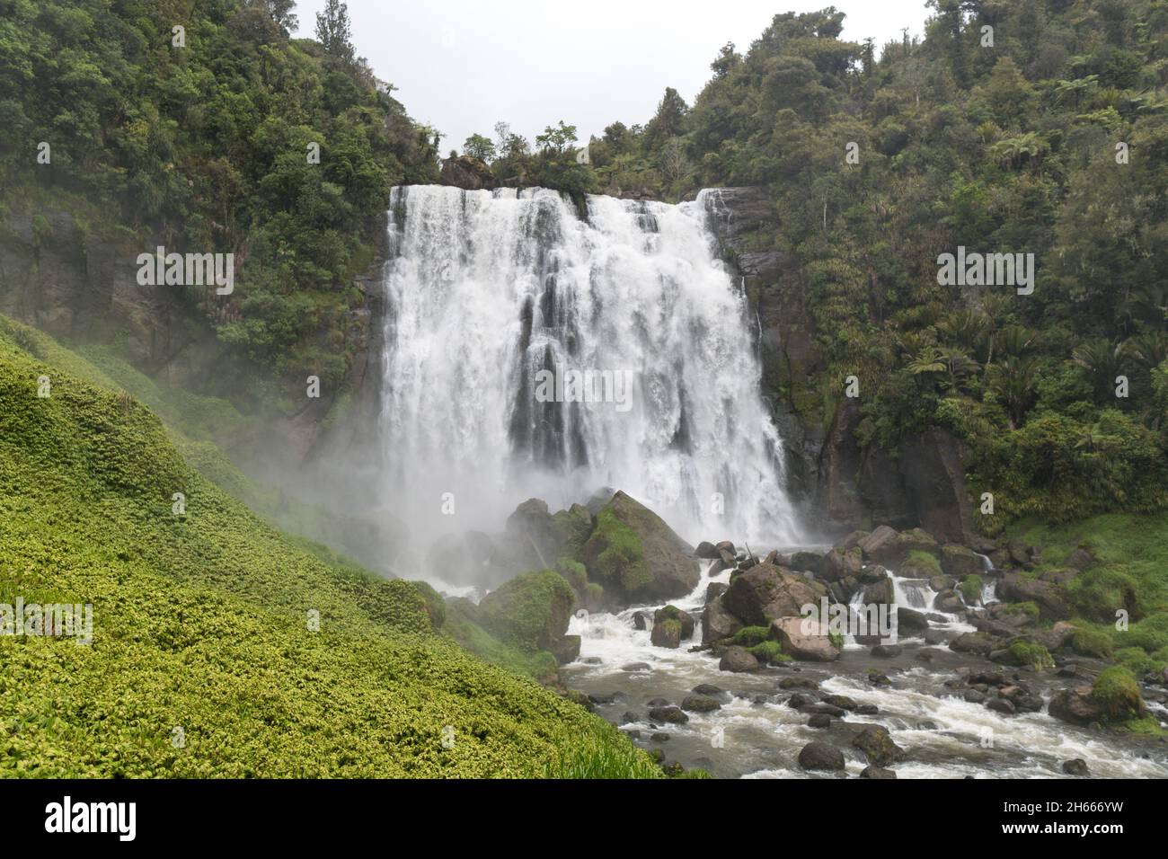 Marokopa Falls Waikato North Island New Zealand Stock Photo - Alamy