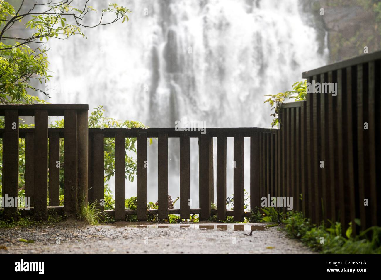 Marokopa Falls Waikato North Island New Zealand Stock Photo - Alamy