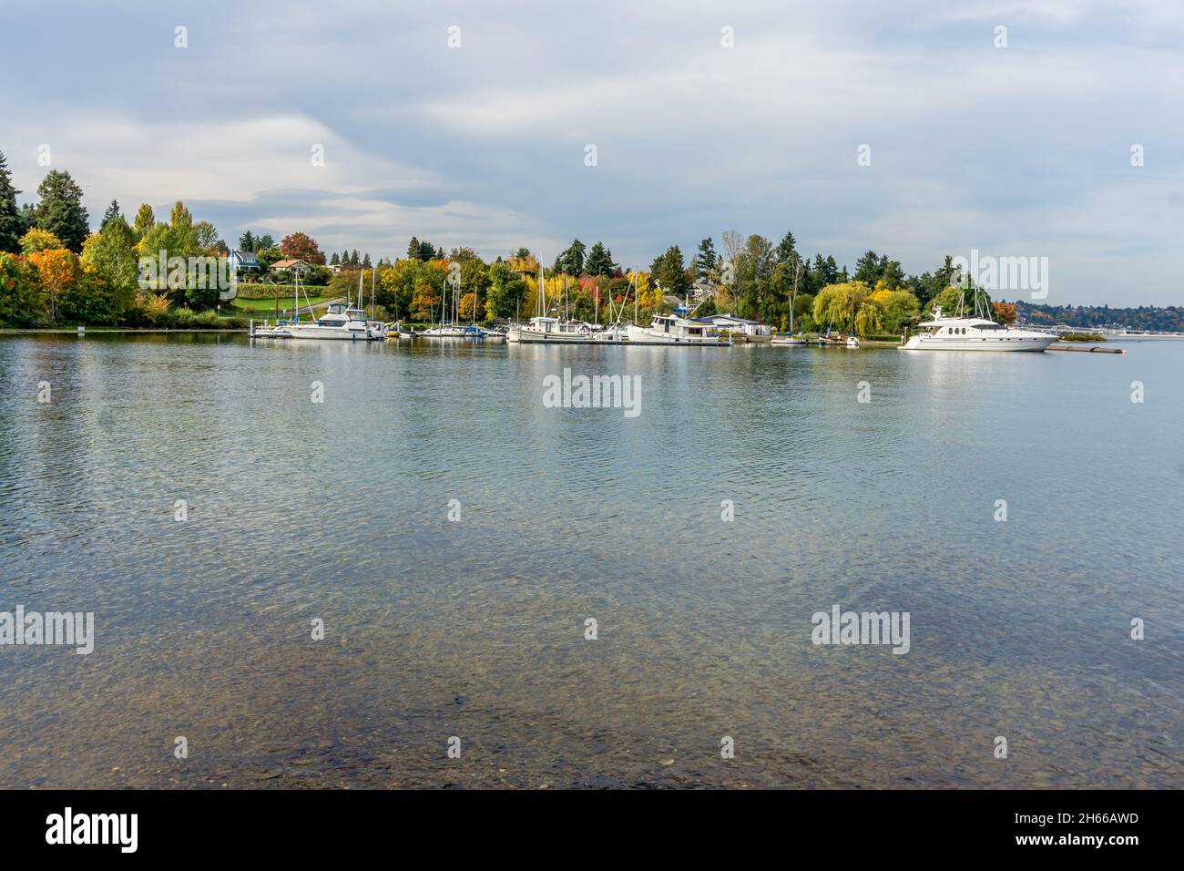 A Lake Wasington marina and colorful fall trees in Seattle, Washington ...