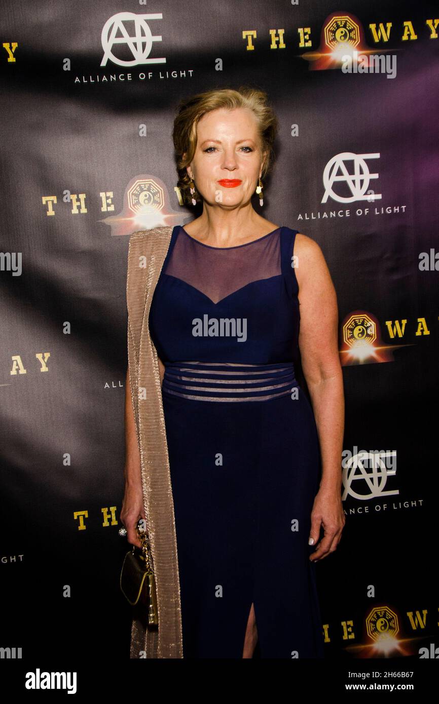 Red Carpet Premiere of the action thriller feature film The Way Stock ...