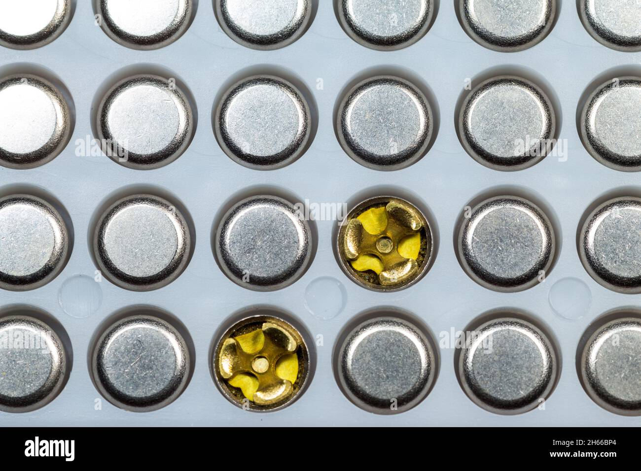 Primers hi-res stock photography and images - Alamy