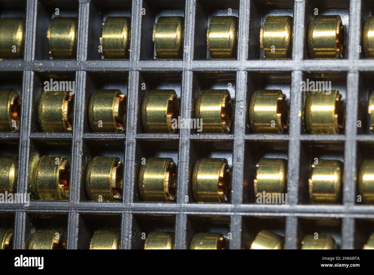 Primers hi-res stock photography and images - Alamy