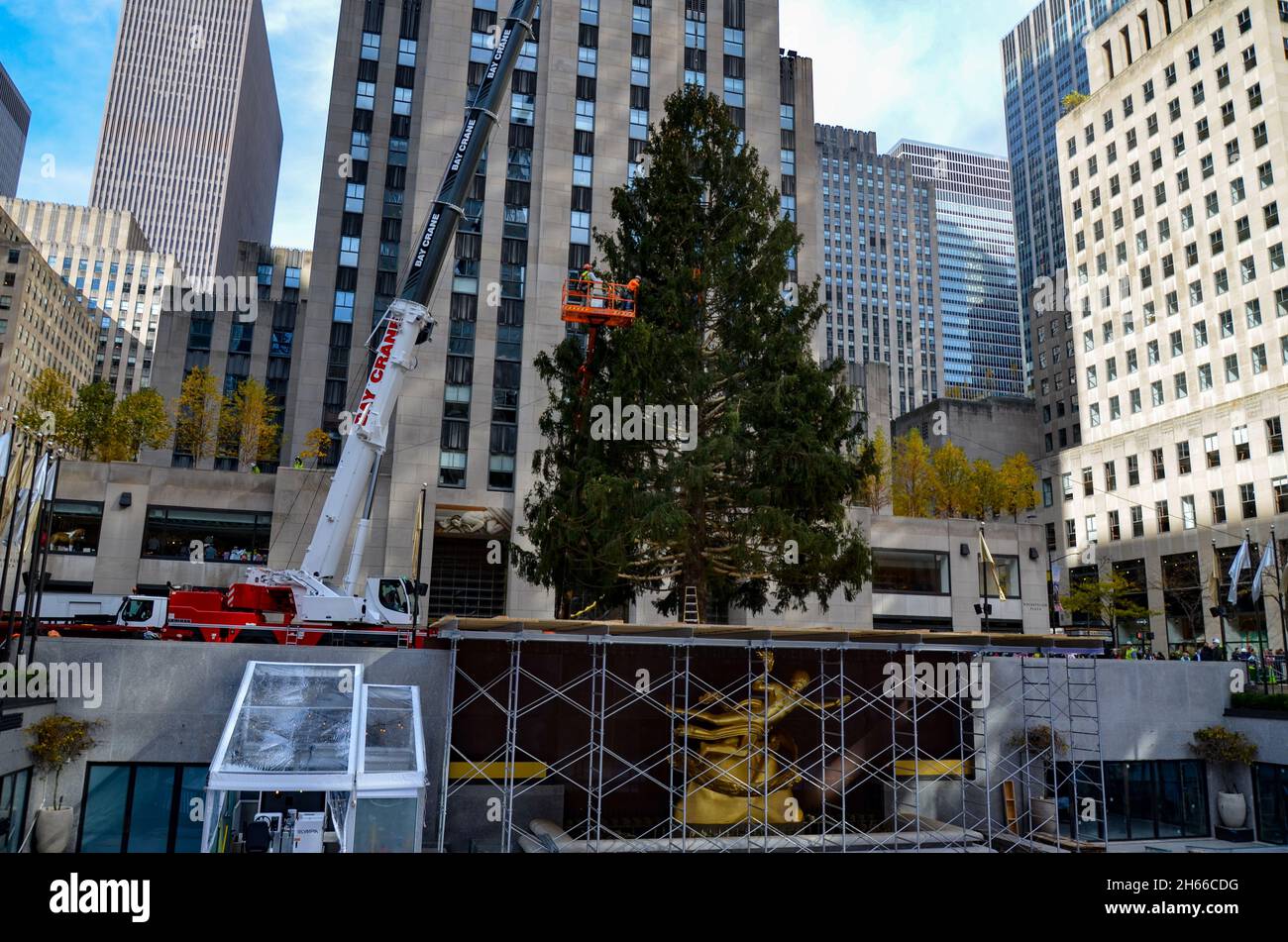 New York, New York, USA. 13th Nov, 2021. The 12-ton, 79-foot ...