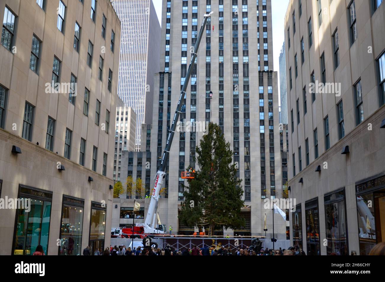 New York, New York, USA. 13th Nov, 2021. The 12-ton, 79-foot ...