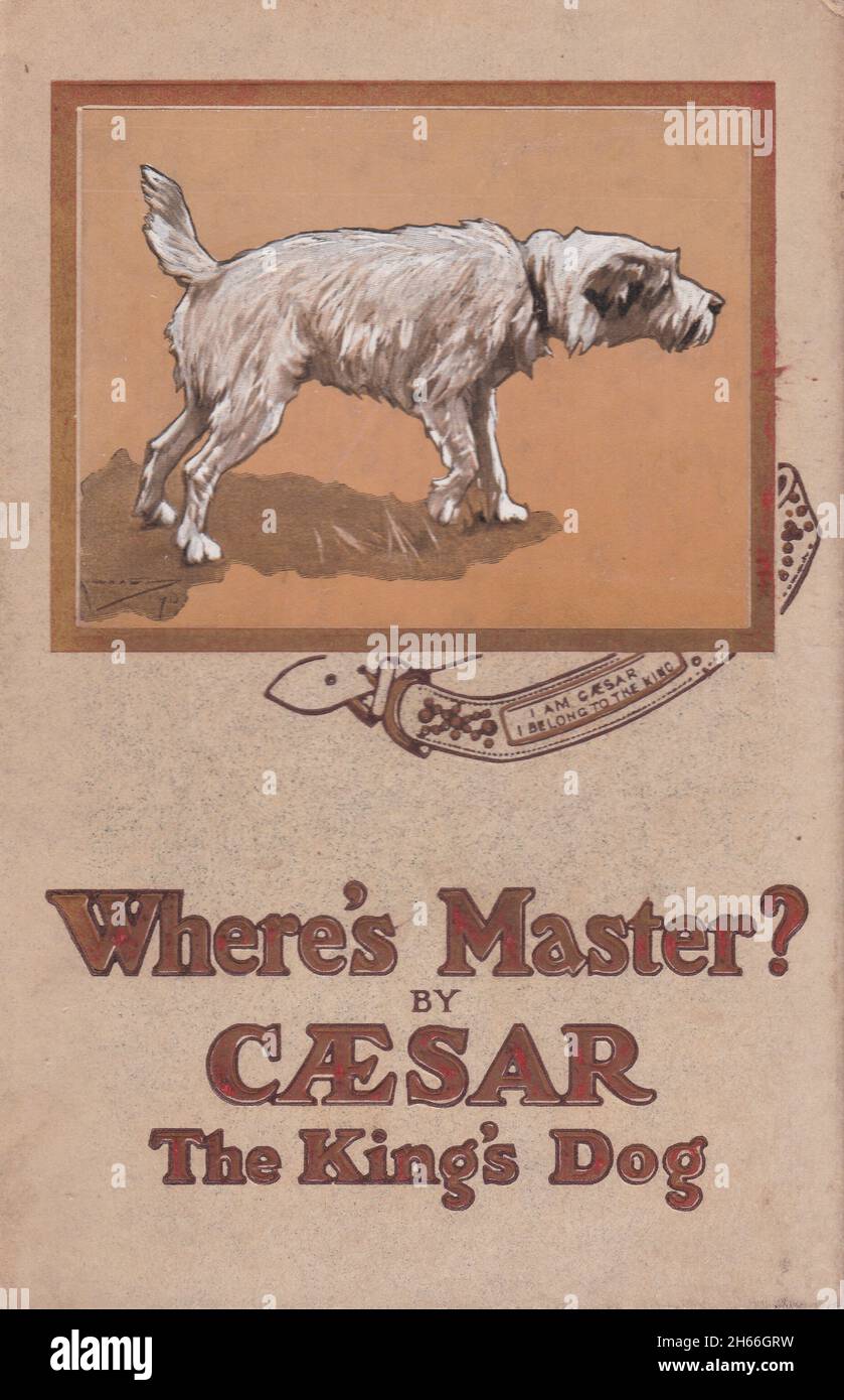 Where's Master? by Caesar The King's Dog - 1910 Book by Hodder ...