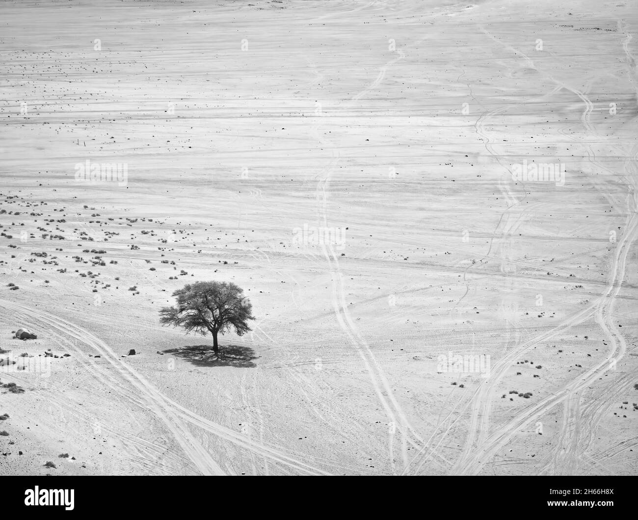 Lawrence spring in wadi rum hi-res stock photography and images - Alamy