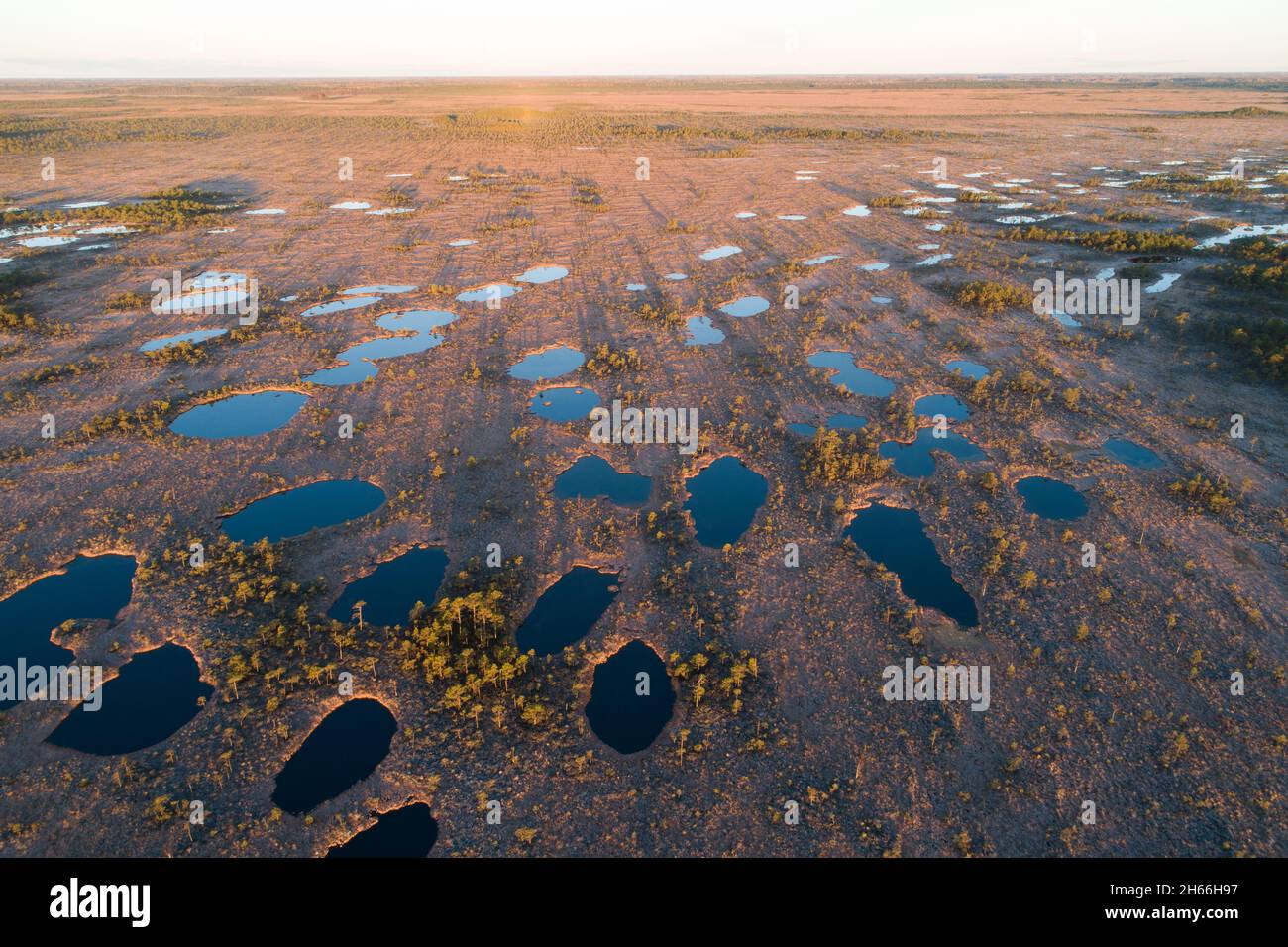 An aerial view of dark bog lakes during an autumnal morning sunrise in ...