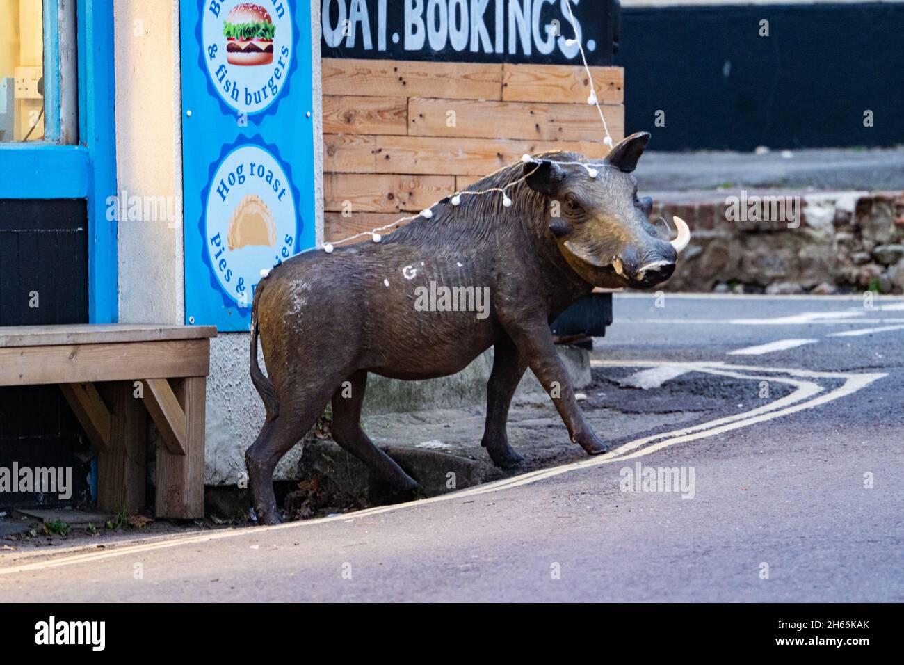 A life-sized model of a warthog outside a shop advertising hog roast ...