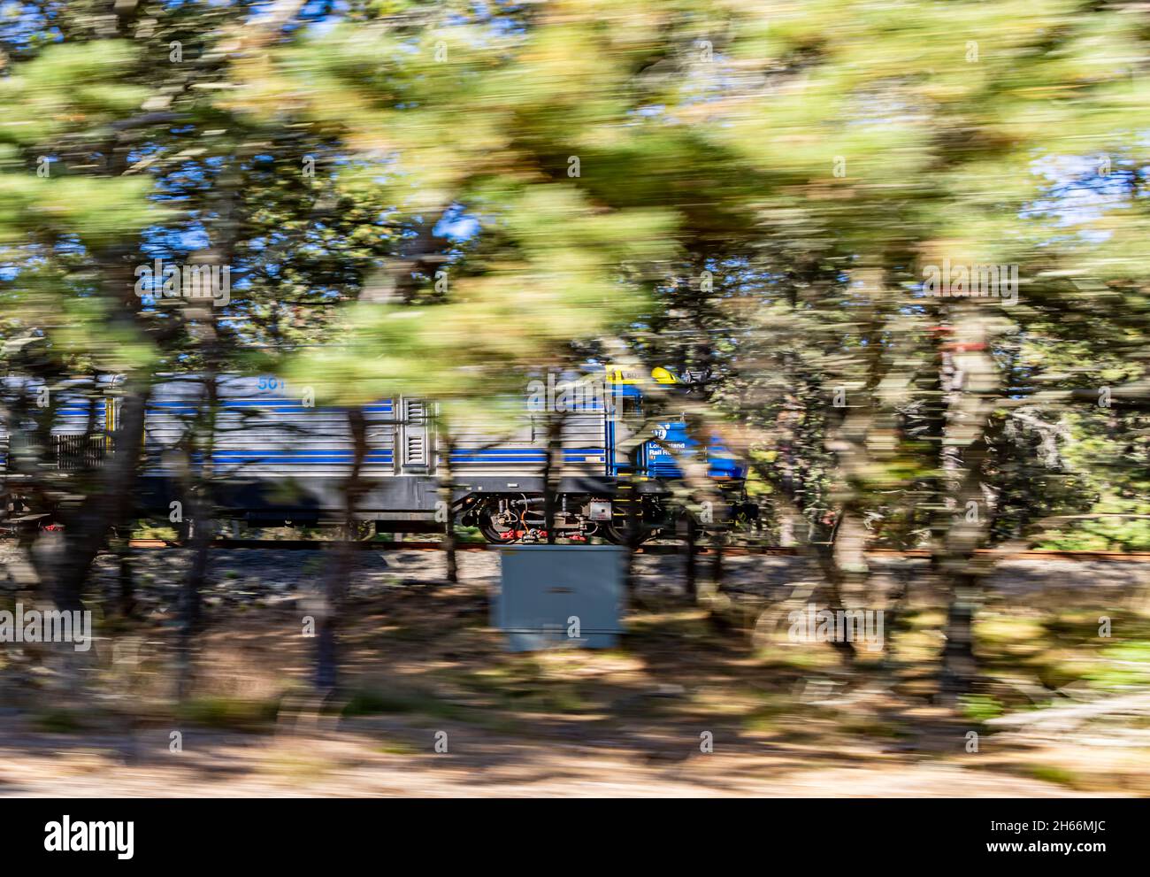 Long Island Railroad train moving quickly through Napeague stretch ...