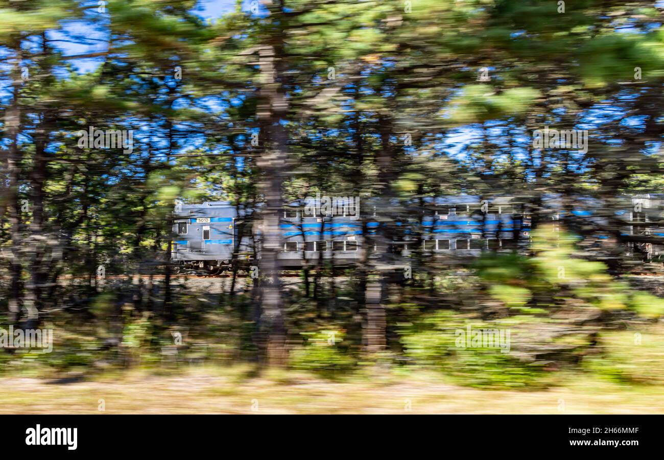 Long Island Railroad train moving quickly through Napeague stretch ...