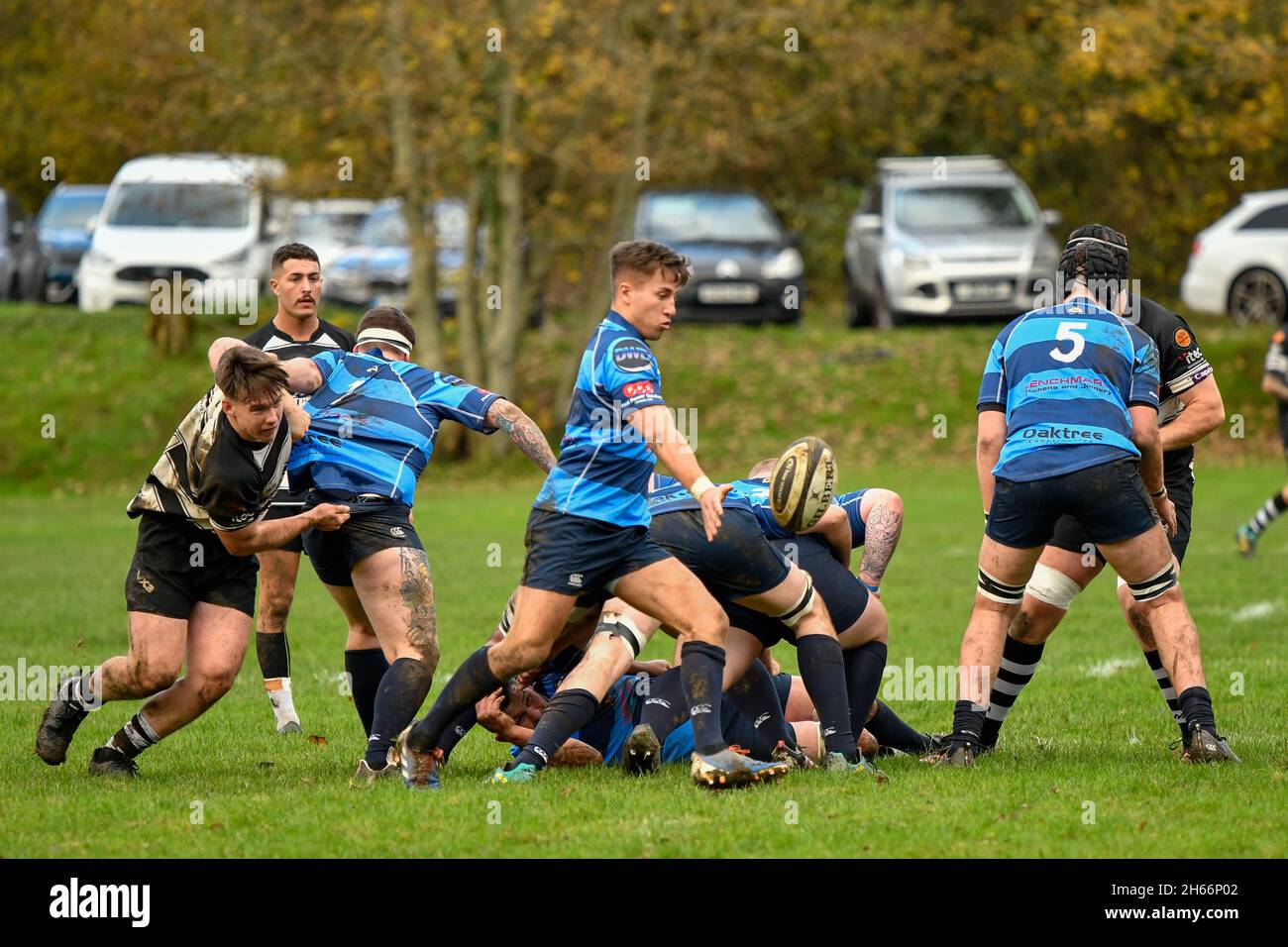Trebanos rfc hi-res stock photography and images - Alamy