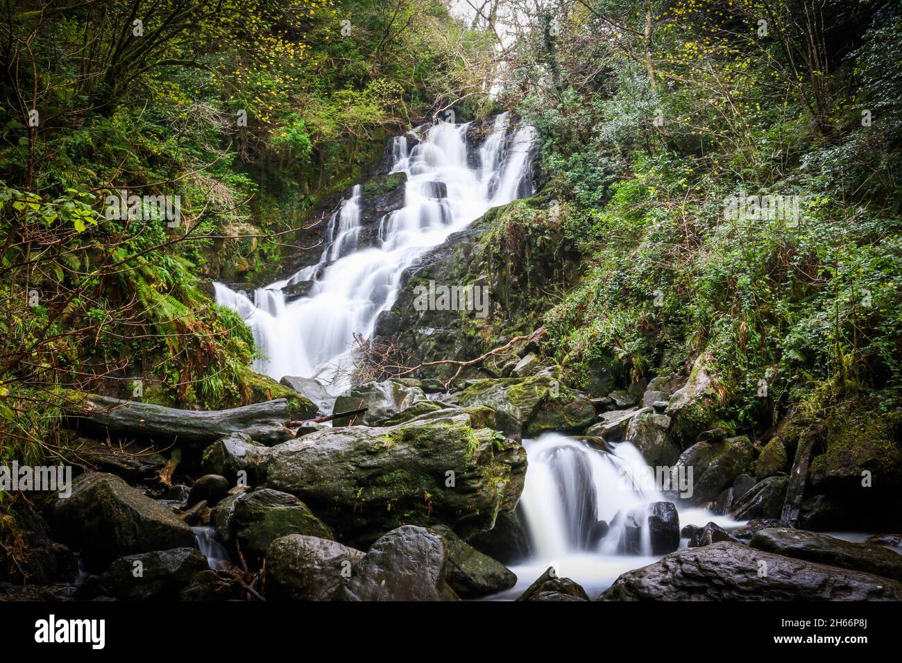 Torc Waterfall at Killarney National Park, Ireland Stock Photo - Alamy