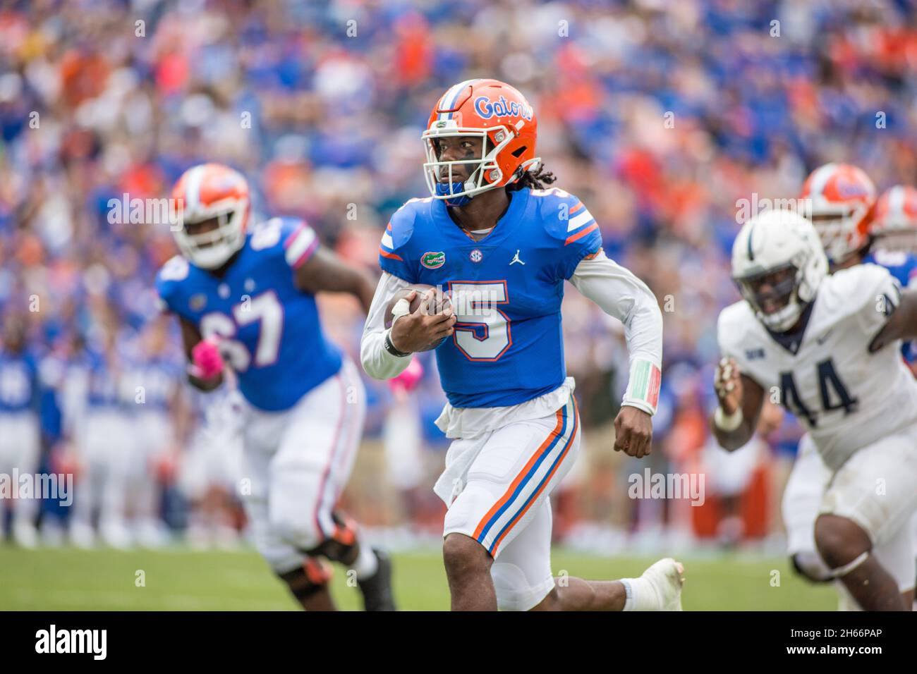 Ben hill griffin stadium hi-res stock photography and images - Alamy