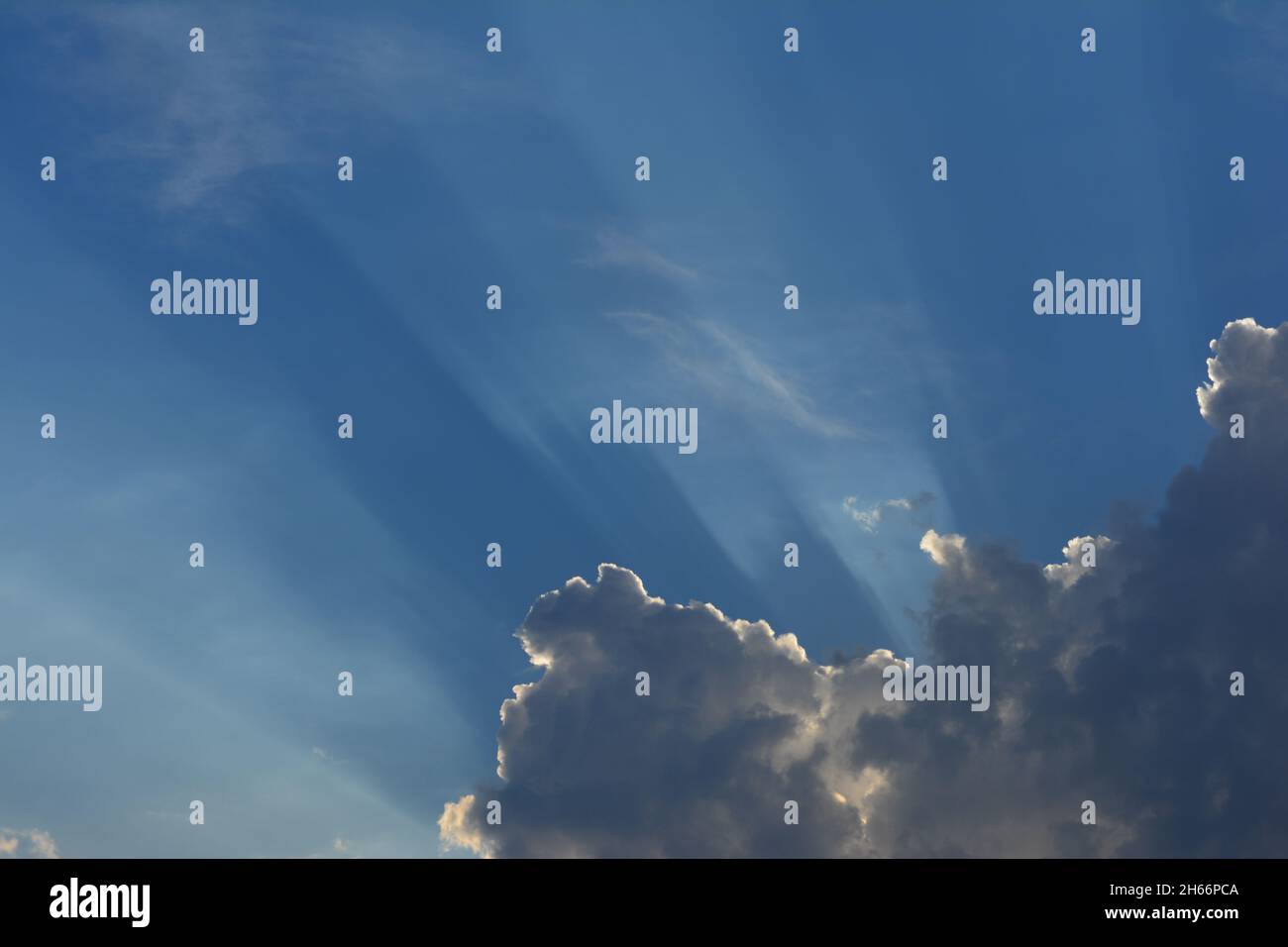 Shine out hi-res stock photography and images - Alamy