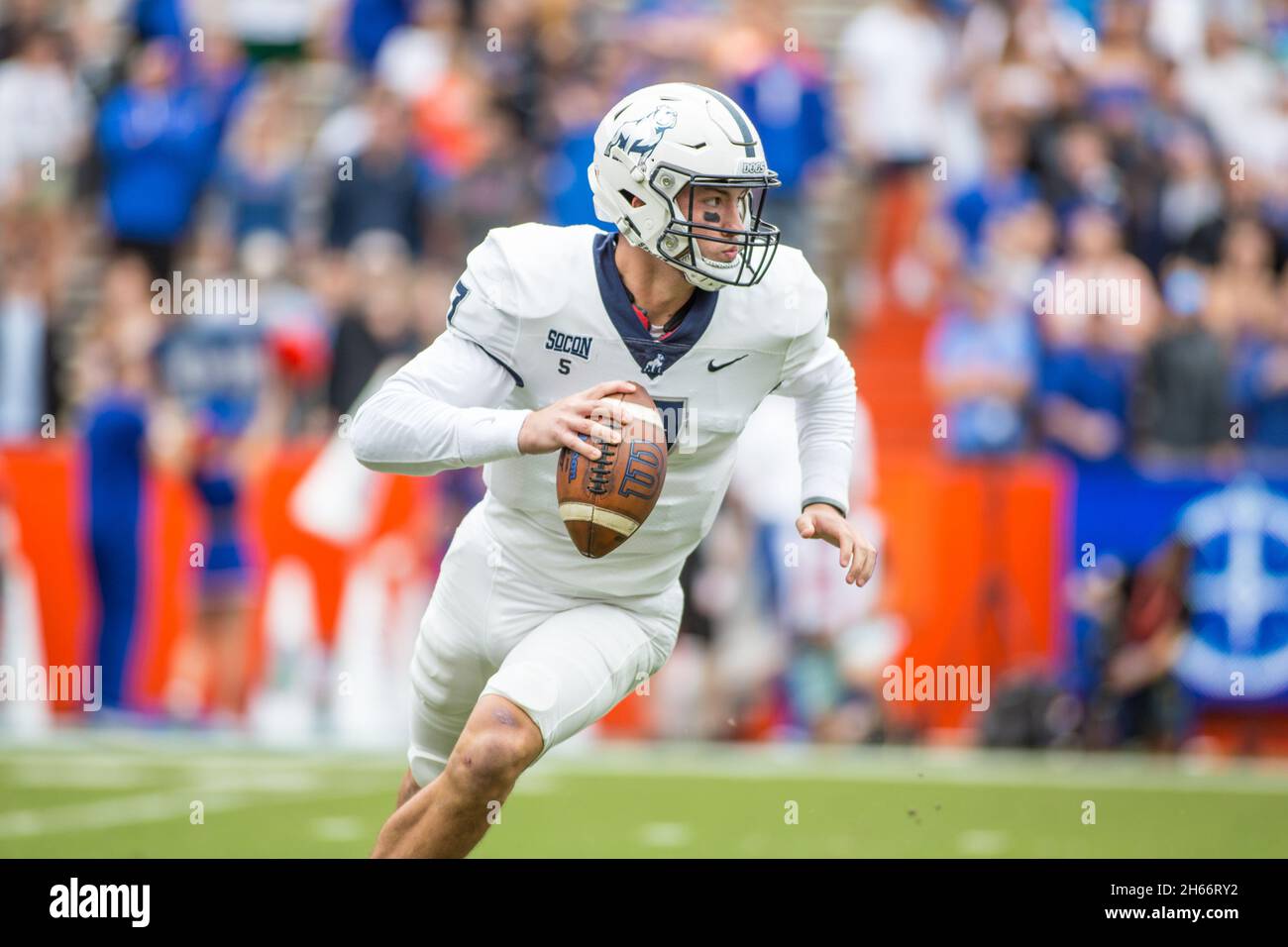 Ben hill griffin stadium hi-res stock photography and images - Alamy