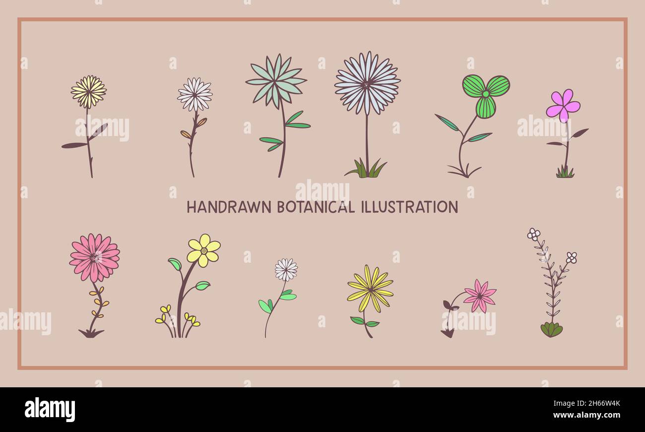 Hand drawn flowers illustration.Different colors and styles Stock ...