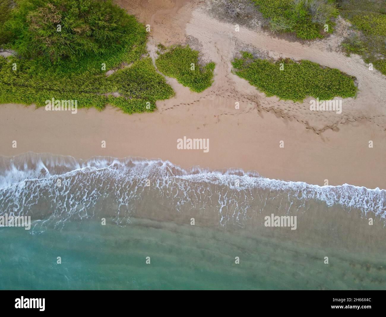 Sandy shore at Saltpond beach near Hanapepe on Kauai Stock Photo - Alamy