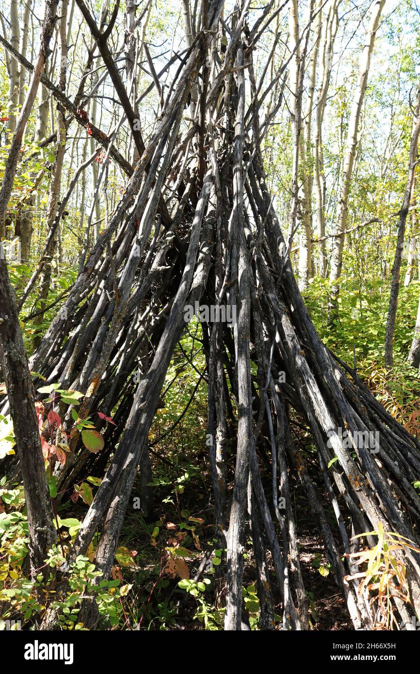 A random structure of logs put into a teepee form Stock Photo - Alamy