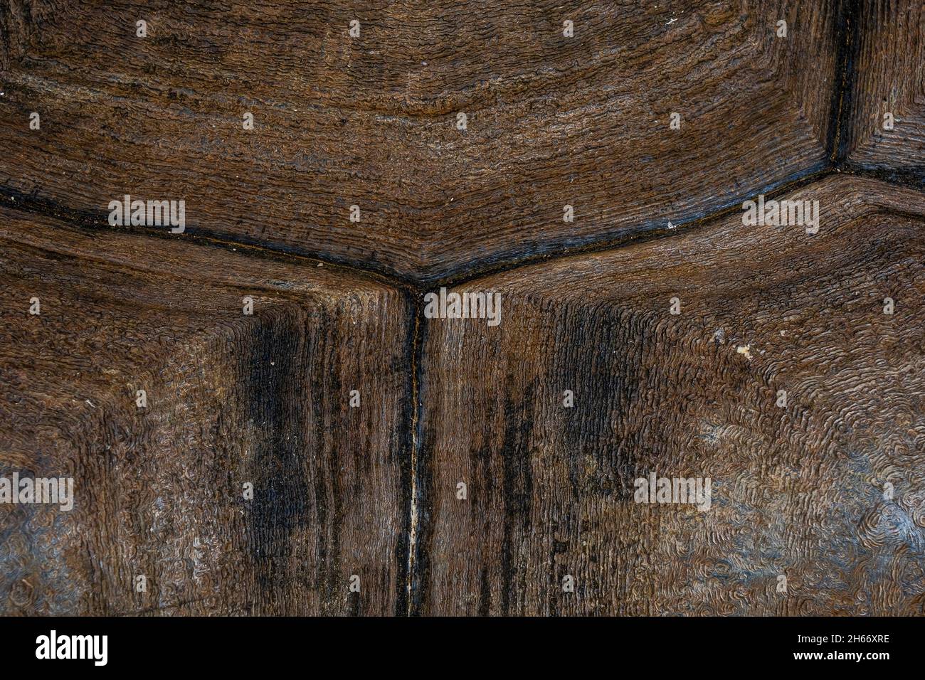Turtle shell background. Macro close up. Carapace texture details. High ...