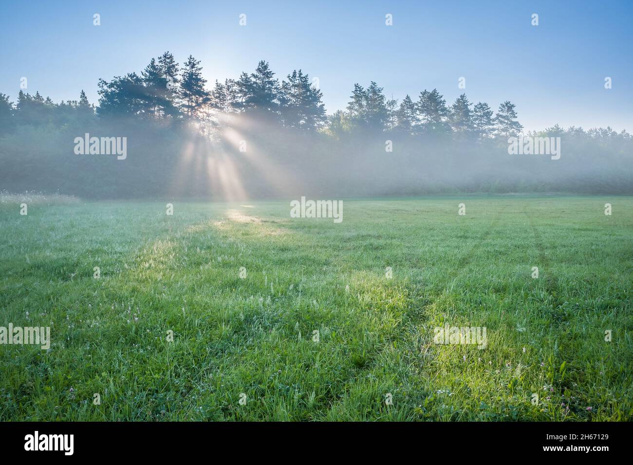 Beautiful morning landscape with meadow and sun rays, summer view Stock ...