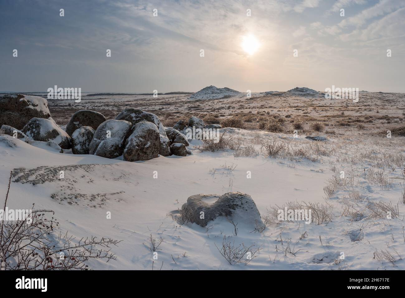 Icy grass hi-res stock photography and images - Alamy