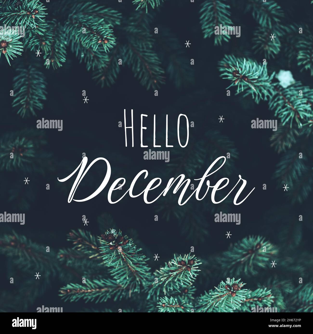 Hello december winter christmas hi-res stock photography and images - Alamy